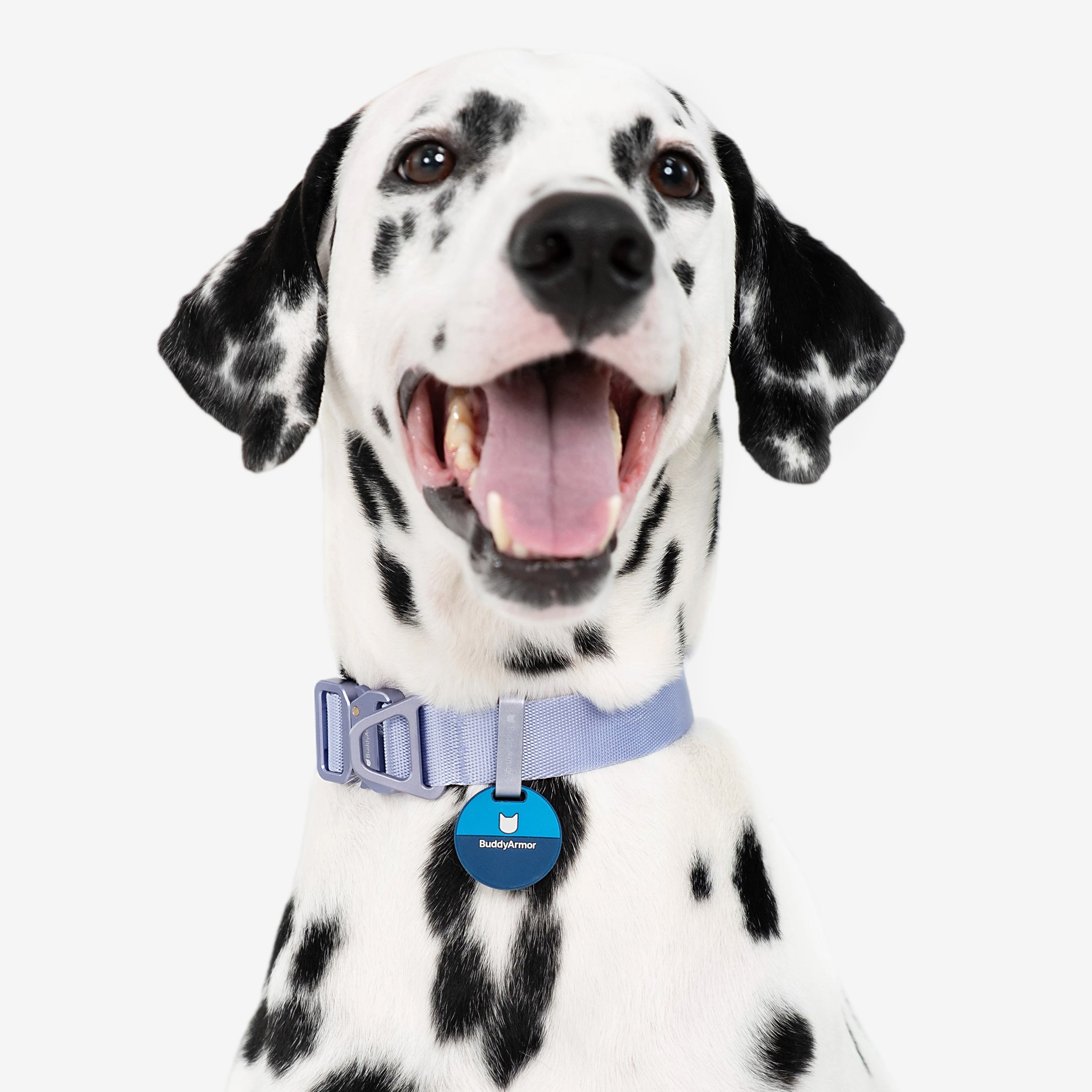 Dog ID Tags – BuddyArmor