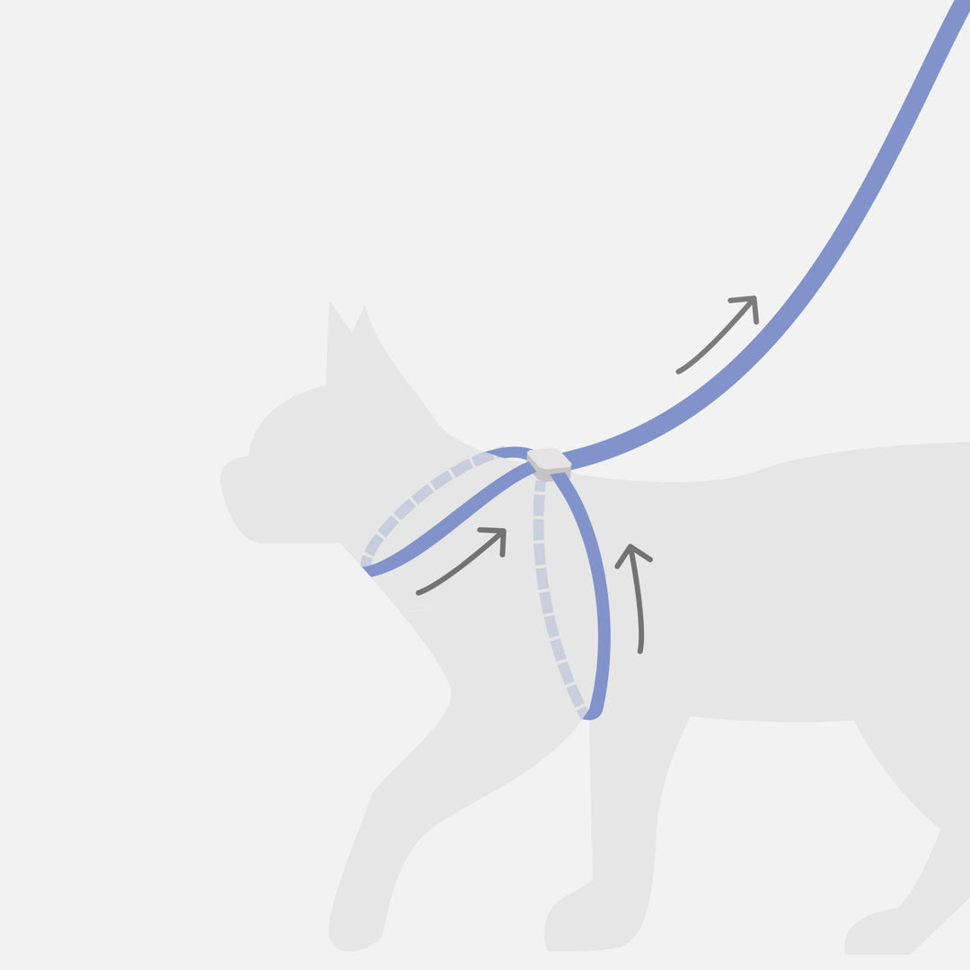 Escape-Proof Training Leash - Nylon – BuddyArmor